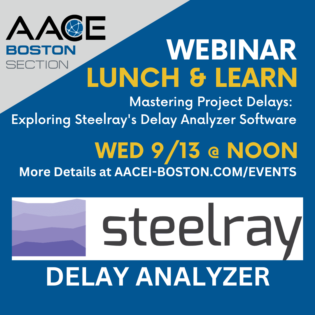 Mastering Project Delays: Exploring Steelray Delay Analyzer Software - myAACE
