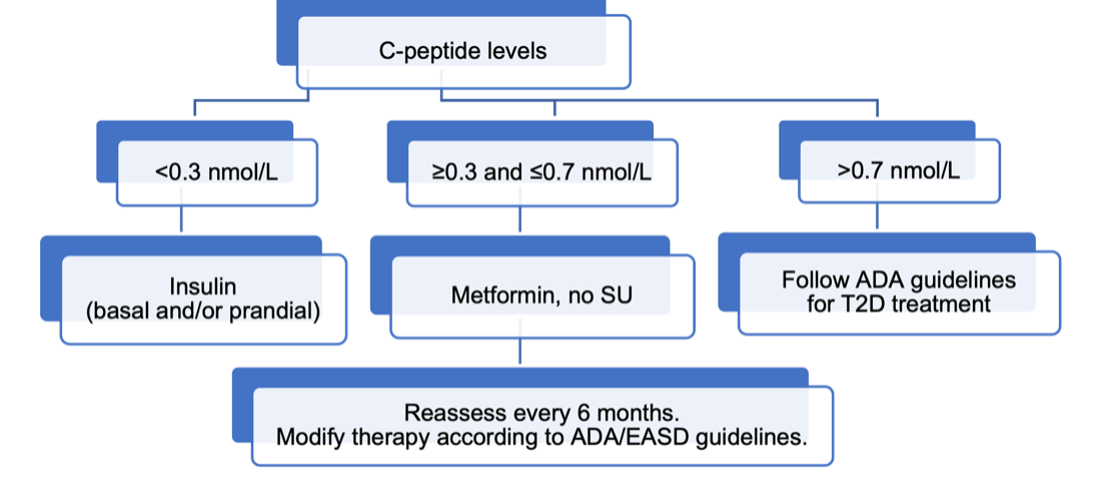 Management of Latent Autoimmune Diabetes in Adults