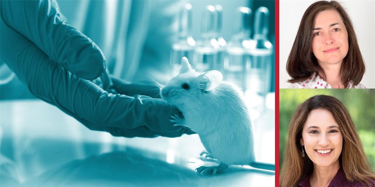 Webinar “Speak Up About Animal Research: The Impact of Openness Around ...