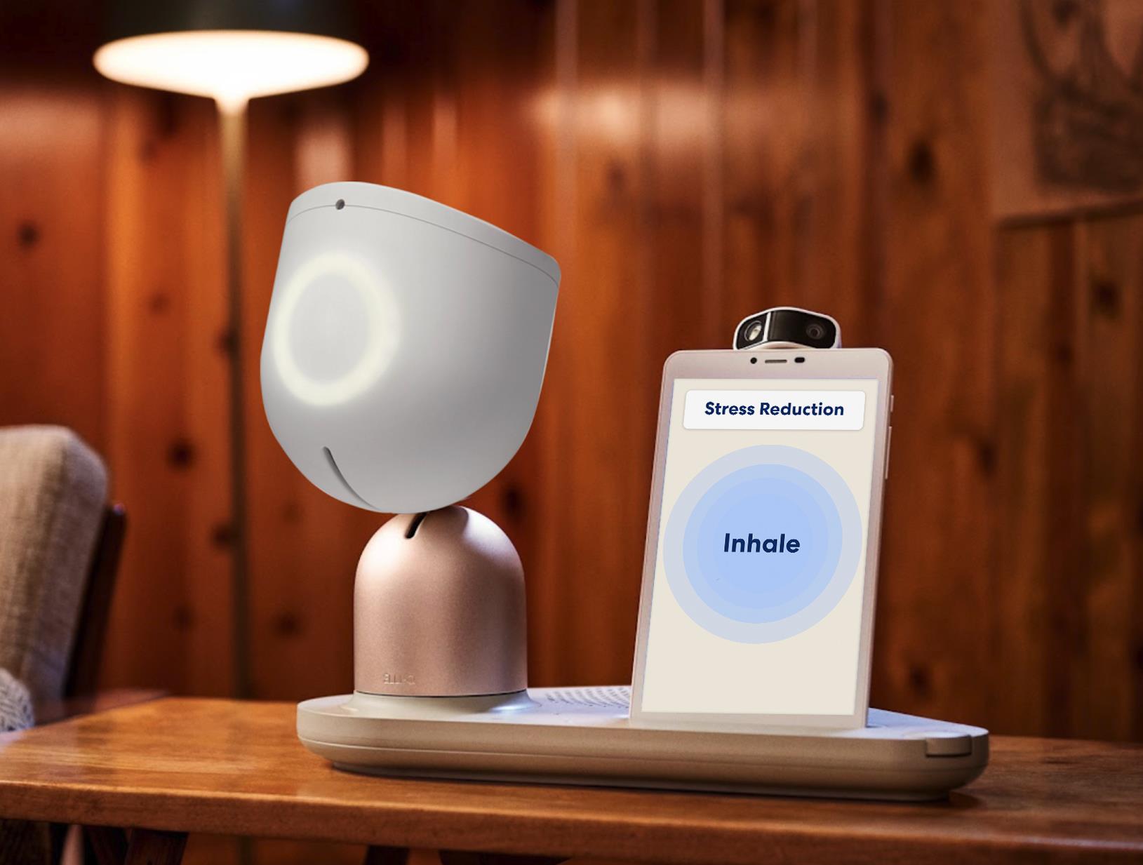 Intuition Robotics: Using Empathetic AI to Alleviate Loneliness