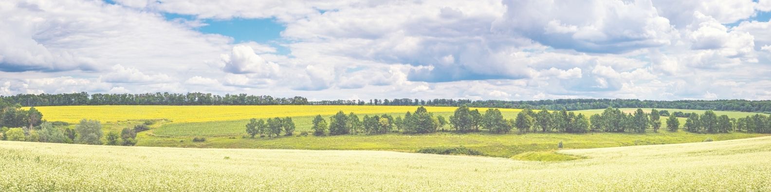 Home - National Agricultural Land Network (American Farmland Trust)