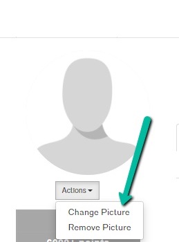 How to update your profile