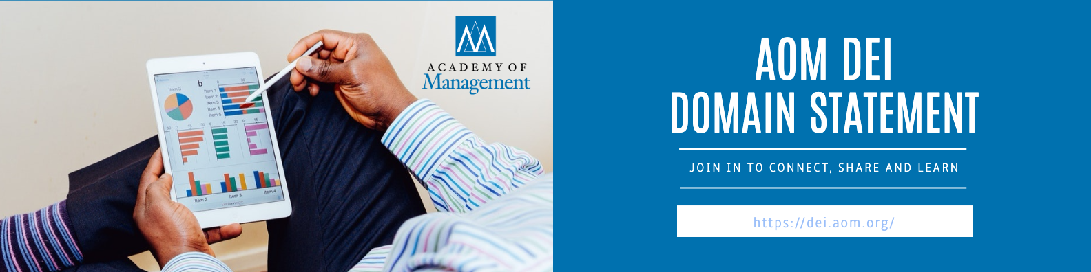 Domain Statement & Bylaws - Diversity, Equity and Inclusion (DEI) Division