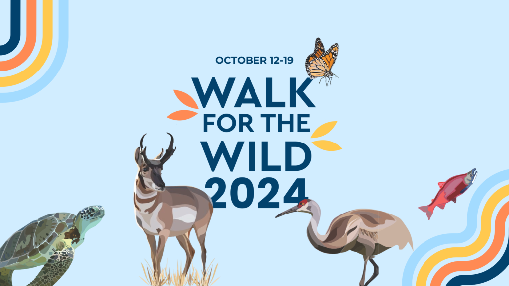 Join the Walk for the Wild: Support National Wildlife Refuges and ...