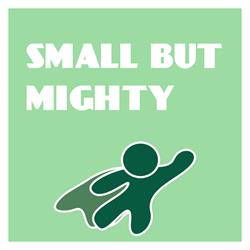 Small but Mighty: Let's Chat About Your Small Organization - Public ...