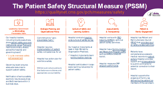 Patient Safety Structural Measure (PSSM): A Short Primer