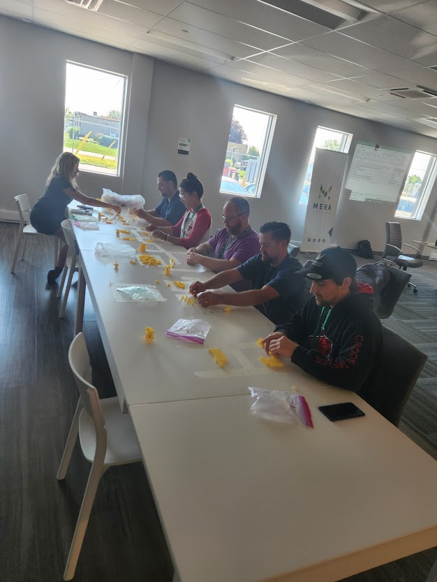 Overview of Lean (LEGO Demonstration) For All Sectors, come play with ...