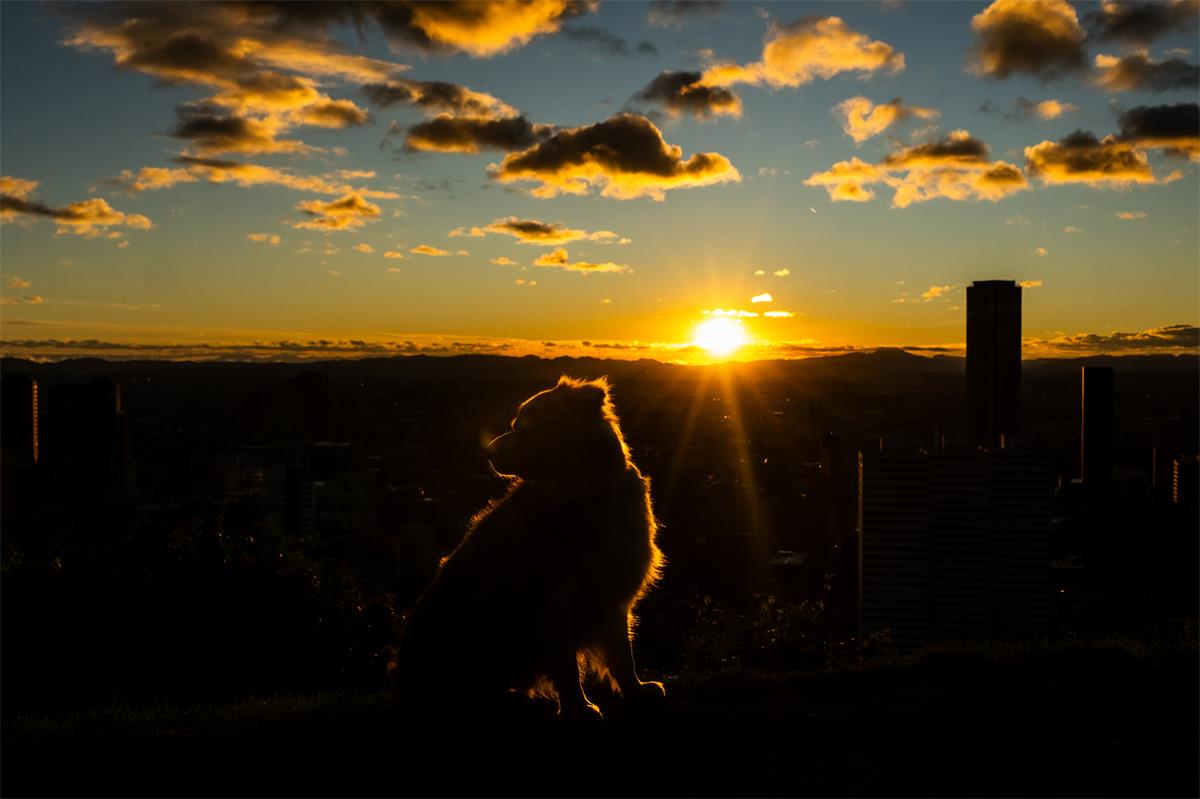 One Solstice, One Sky - Astronomers Without Borders