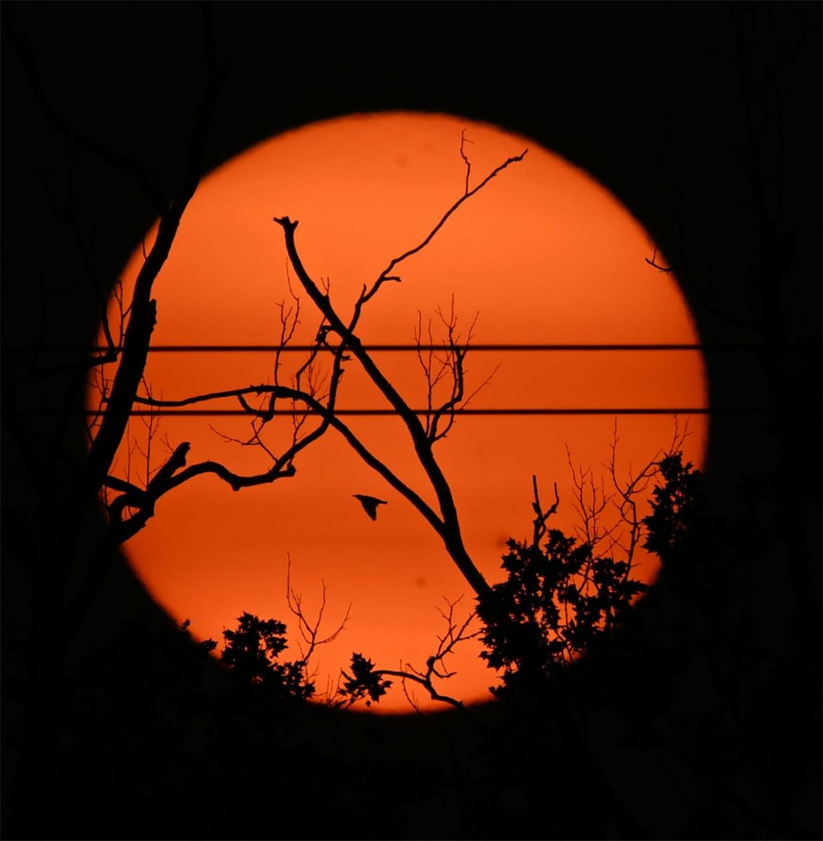 One Solstice, One Sky - Astronomers Without Borders