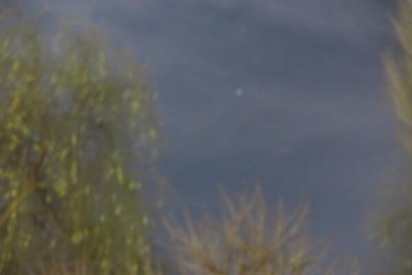 Cosmic Multicultural Bucharest in the Pandemic (458) By Andrei Dorian ...