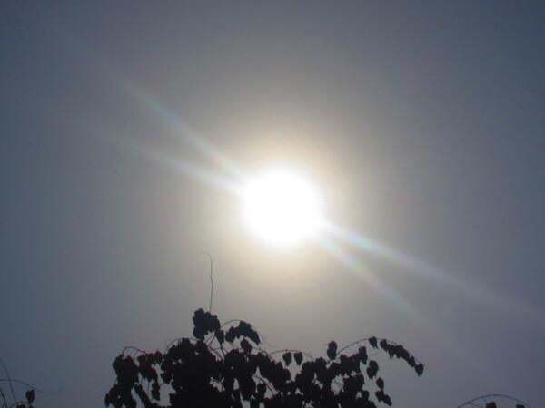 Cosmic Multicultural Bucharest in the Pandemic (299) By Andrei Dorian ...