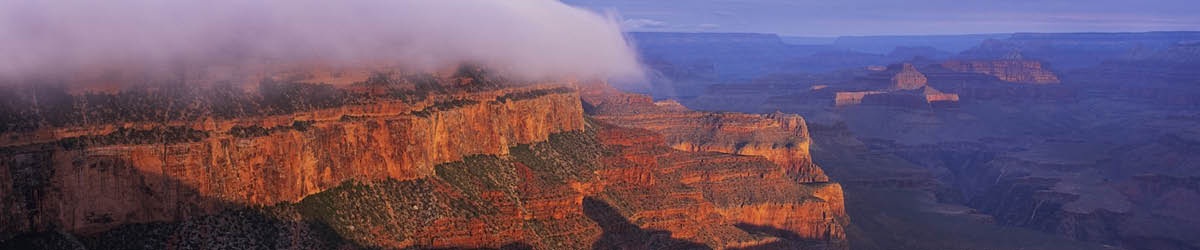 Home - State Bar of Arizona