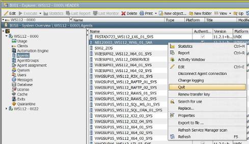 Piloting agents from the System Overview | Automic Workload Automation