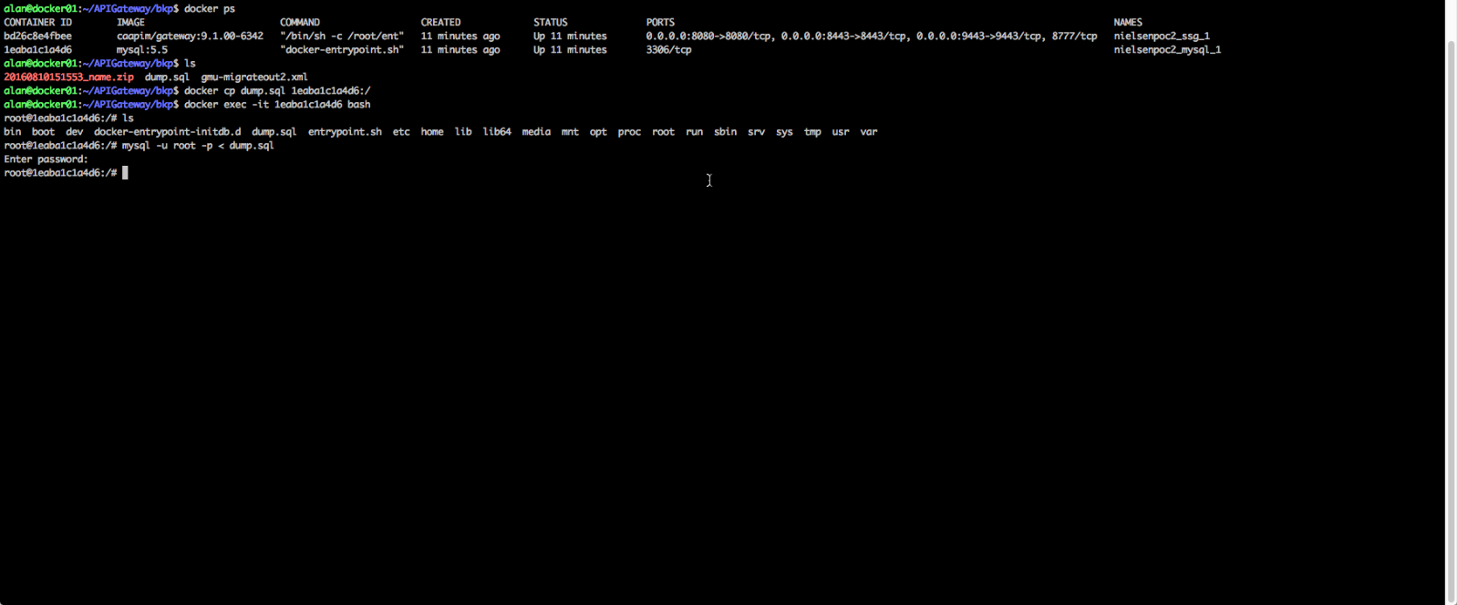 Layer7 API Management - Enterprise Software