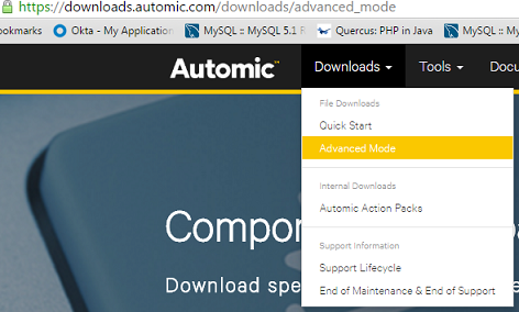 Where is the RA solution/folder in the Automation Engine Image? | Automic Workload Automation