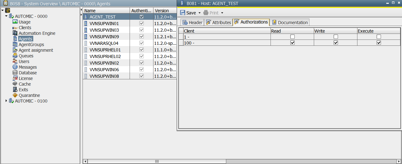 How to install ARA Agent and make it works as Deployment Target | Automic Continuous Delivery ...