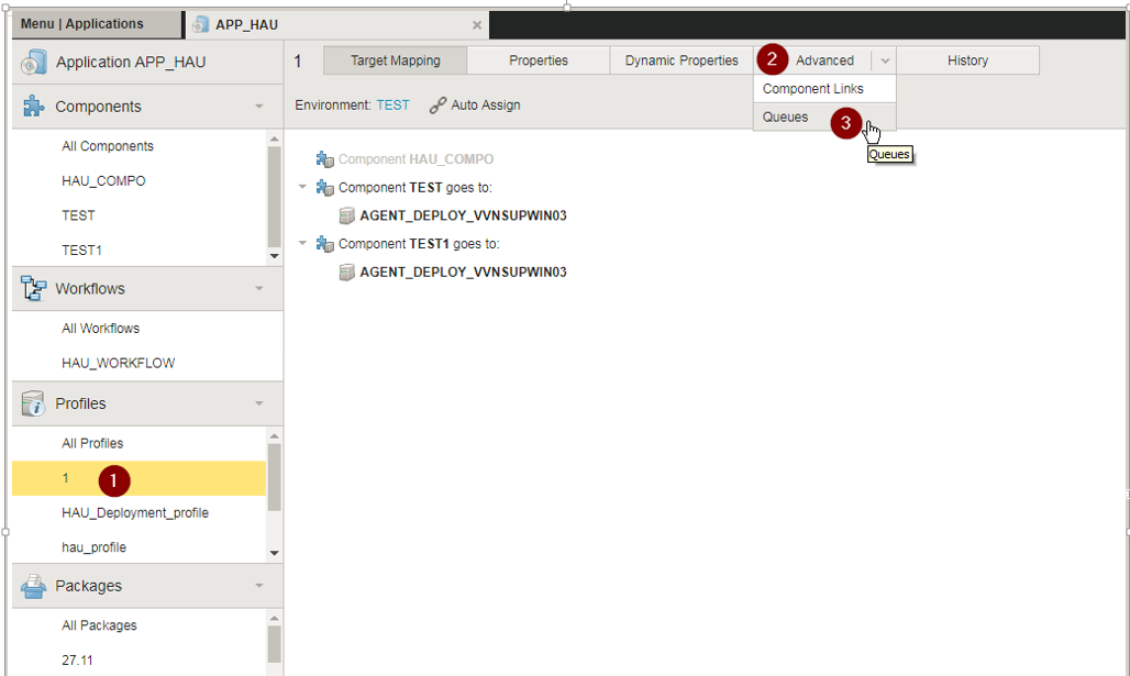 How to use ARA queue to customize your ARA execution ? | Automic Continuous Delivery Automation