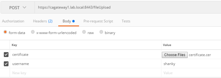 Access Form Data in Gateway | Layer7 API Management