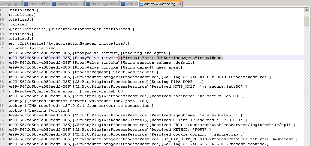 SPS Webservice issues | Symantec Access Management