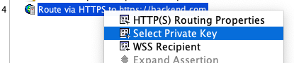 Route via HTTPS witc Client Authentication Certificate | Layer7 API ...