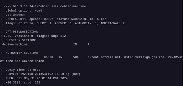 Workstation 17.5.2 - Linux Host NAT DNS Does not resolve Guest ...