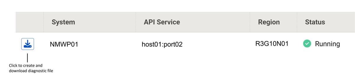 New Configuration Details Page in NetMaster Web Portal | NetMaster