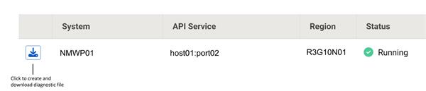 New Configuration Details Page in NetMaster Web Portal | NetMaster