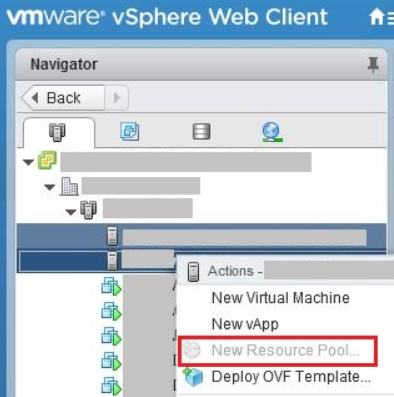 Resource pool not appear on esxi host but appear on vcenter | VMware ...