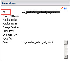 Get-VM select Customfields, Name from PowerCLI | VMware vSphere