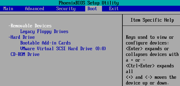 VM's BIOS boot menu + | VMware vSphere