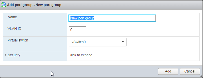 VMkernel nic in port group | VMware vSphere