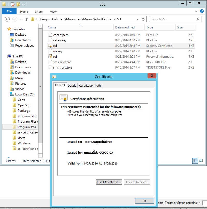 SSL Certificate warning when uploading an ESXi Image? | VMware vSphere