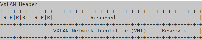 VXLAN frame formate for NSX | VMware NSX