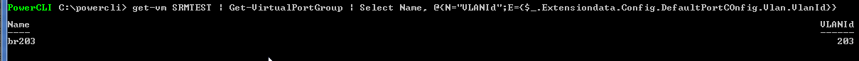 Port Group Name and VLAN ID for VMs | PowerCLI