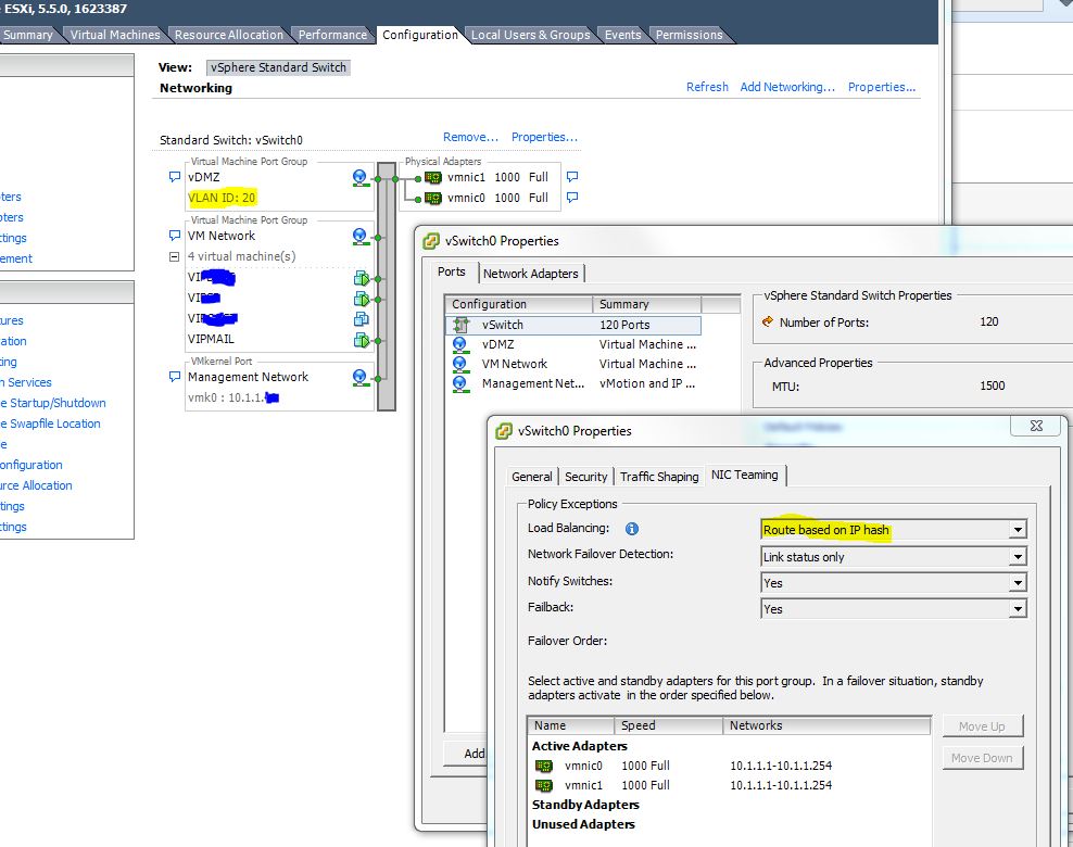 TRUNK, ETHERCHANNEL NIC Teaming solution assistance | VMware vSphere