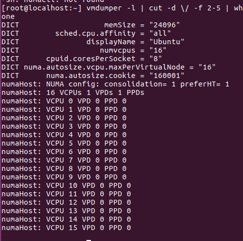 Bind numa node to a socket | VMware vSphere
