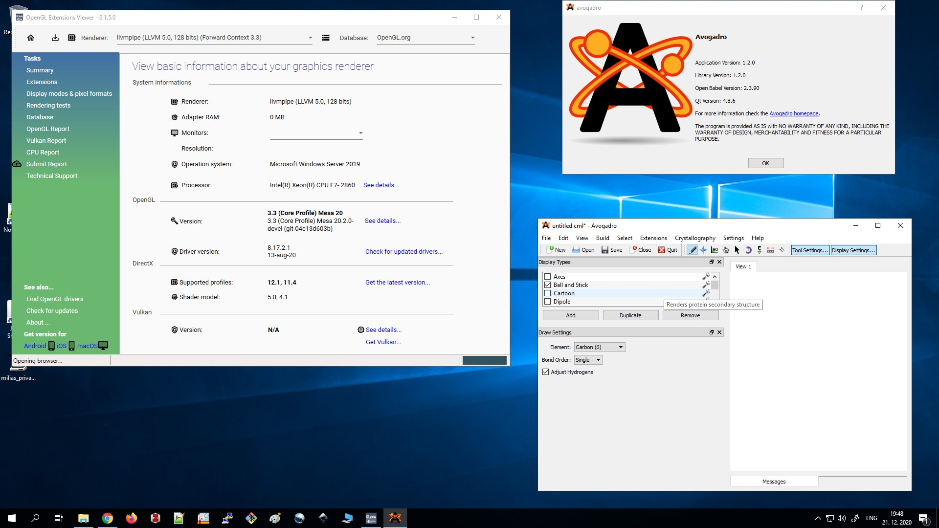 VMware SVGA 3D v.8.17.2.1 on Windows2019 Server | Guest Operating Systems