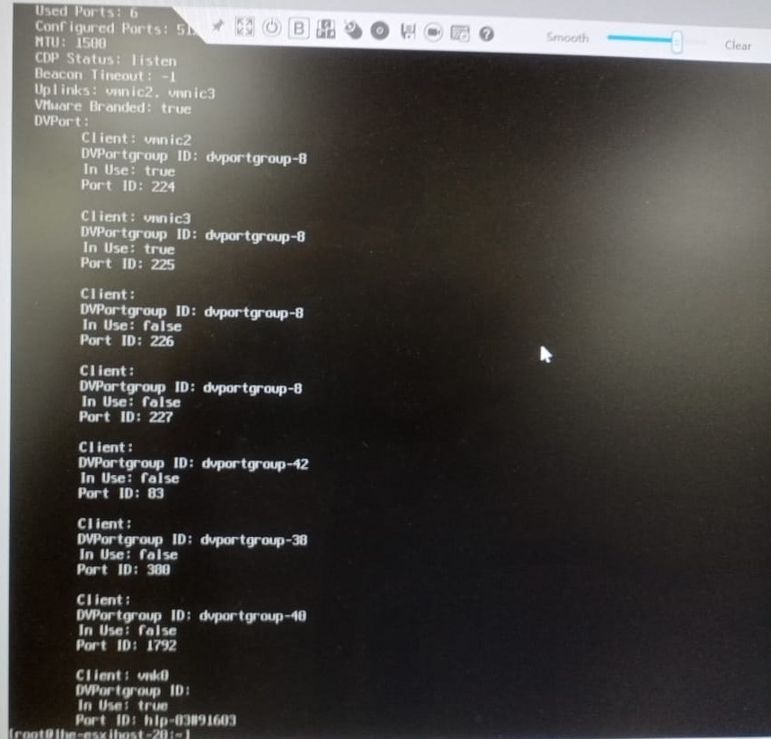 Network Adapters and VLAN (optional) greyed out in DCUI | VMware vSphere