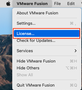 upgrade from VMware 13 Player to VMware 13 pro | Fusion
