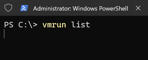 Issue with vmrun Command Line Utility Hanging in VMware Workstation 17.5.0 | VMware Workstation