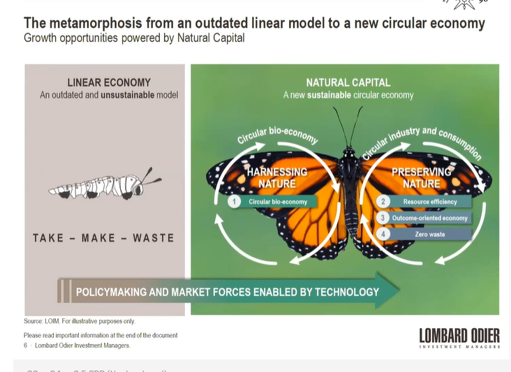CFA UK Professional Learning: Butterfly bio-economy model from Lombard ...