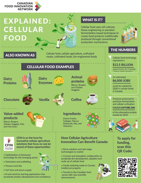 INFOGRAPHIC: Introduction to Cellular Food