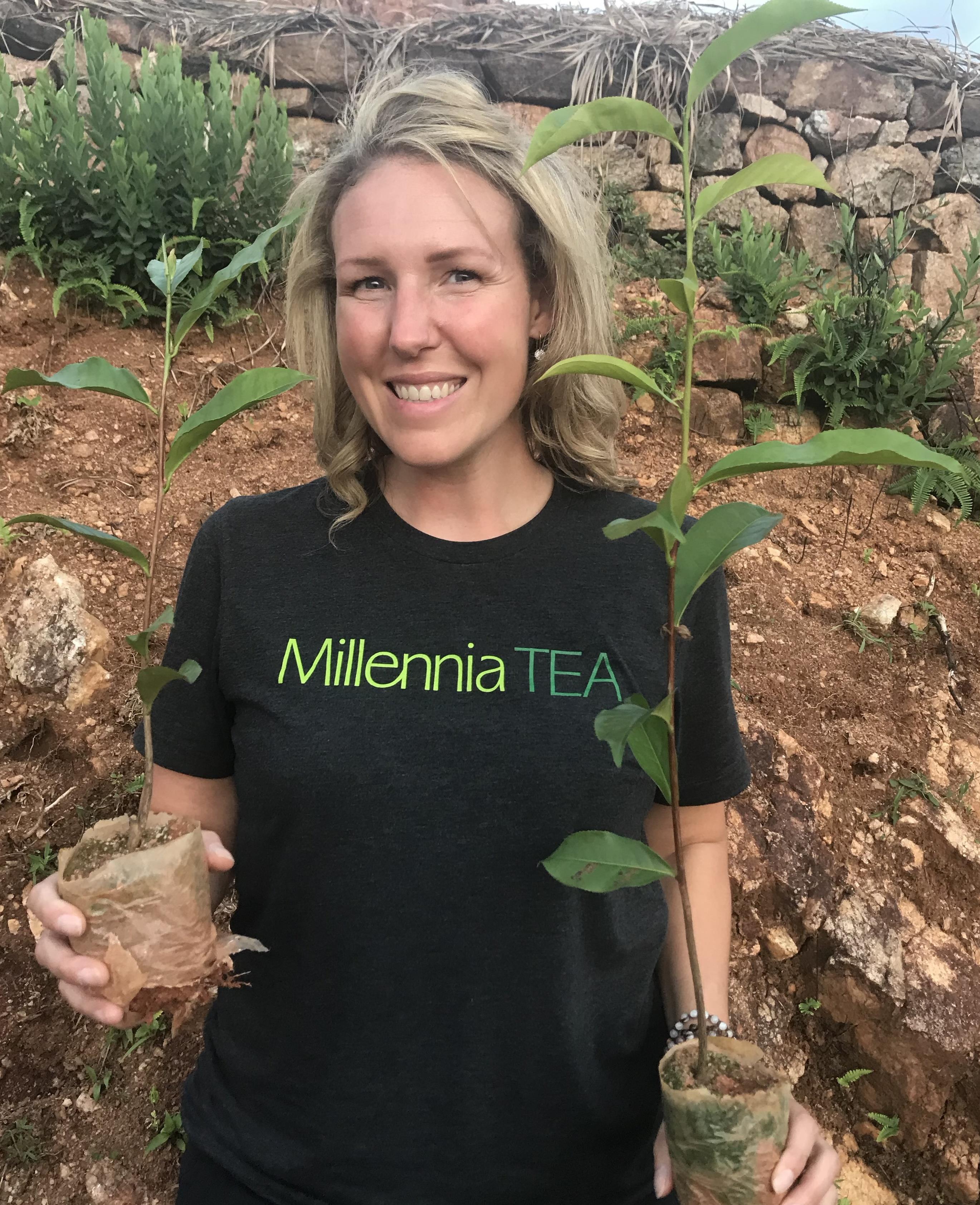 Company Profile – Millennia TEA