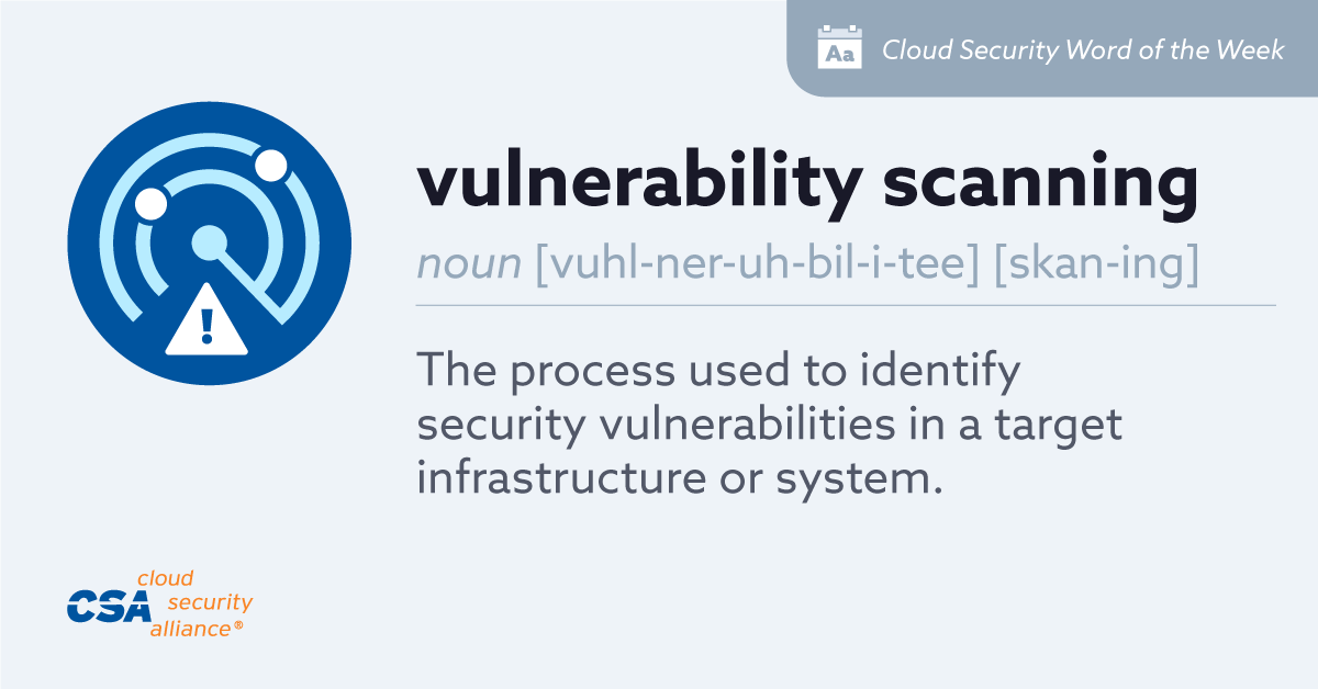 Word of the Week: Vulnerability Scanning 🔍 | The Inner Circle