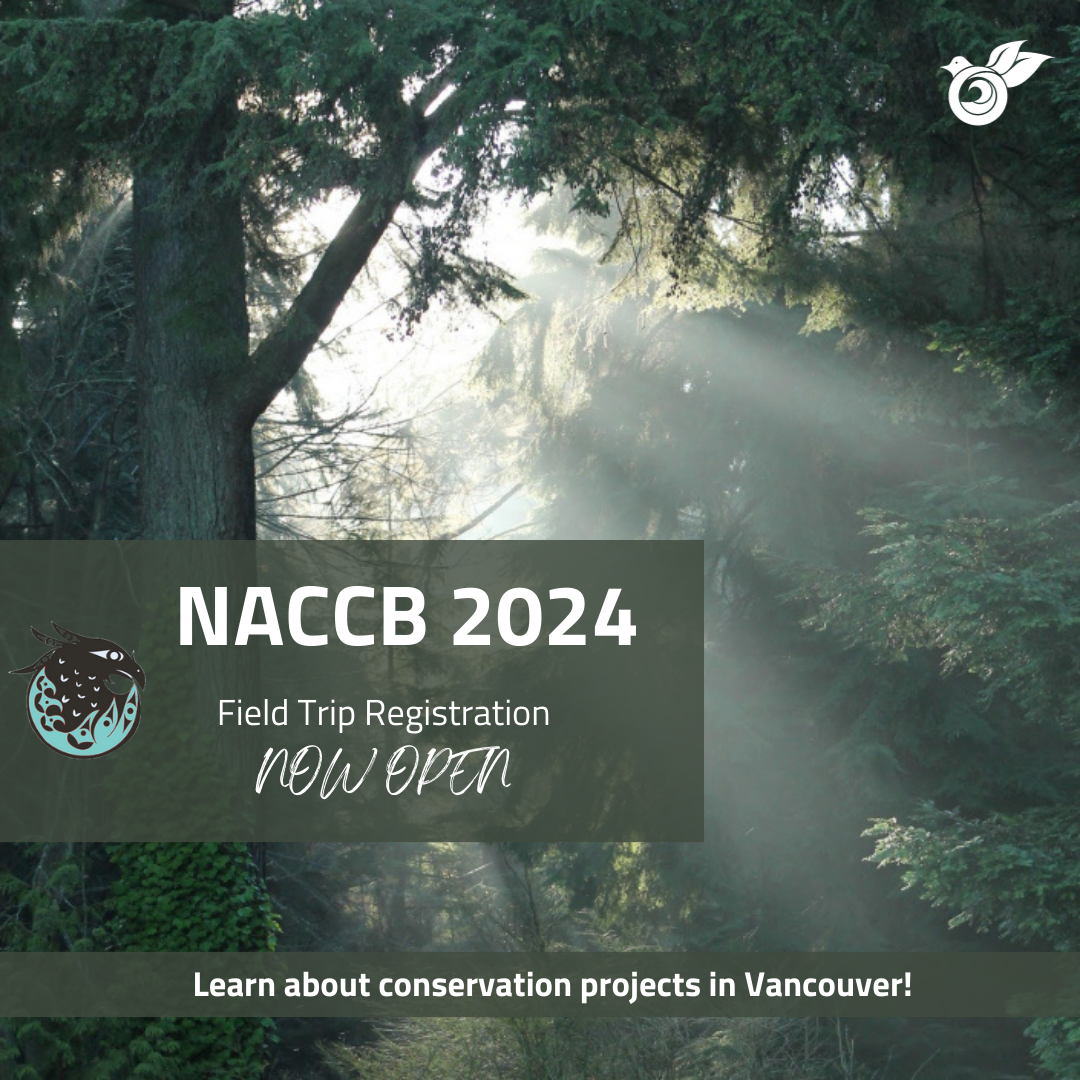 All NACCB 2024 Updates (Registration, Hotel Reservations, Field Trips ...