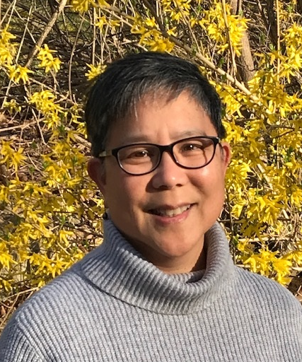 Emergency Committee Blog: Interview with Lori Foley on her work at FEMA ...