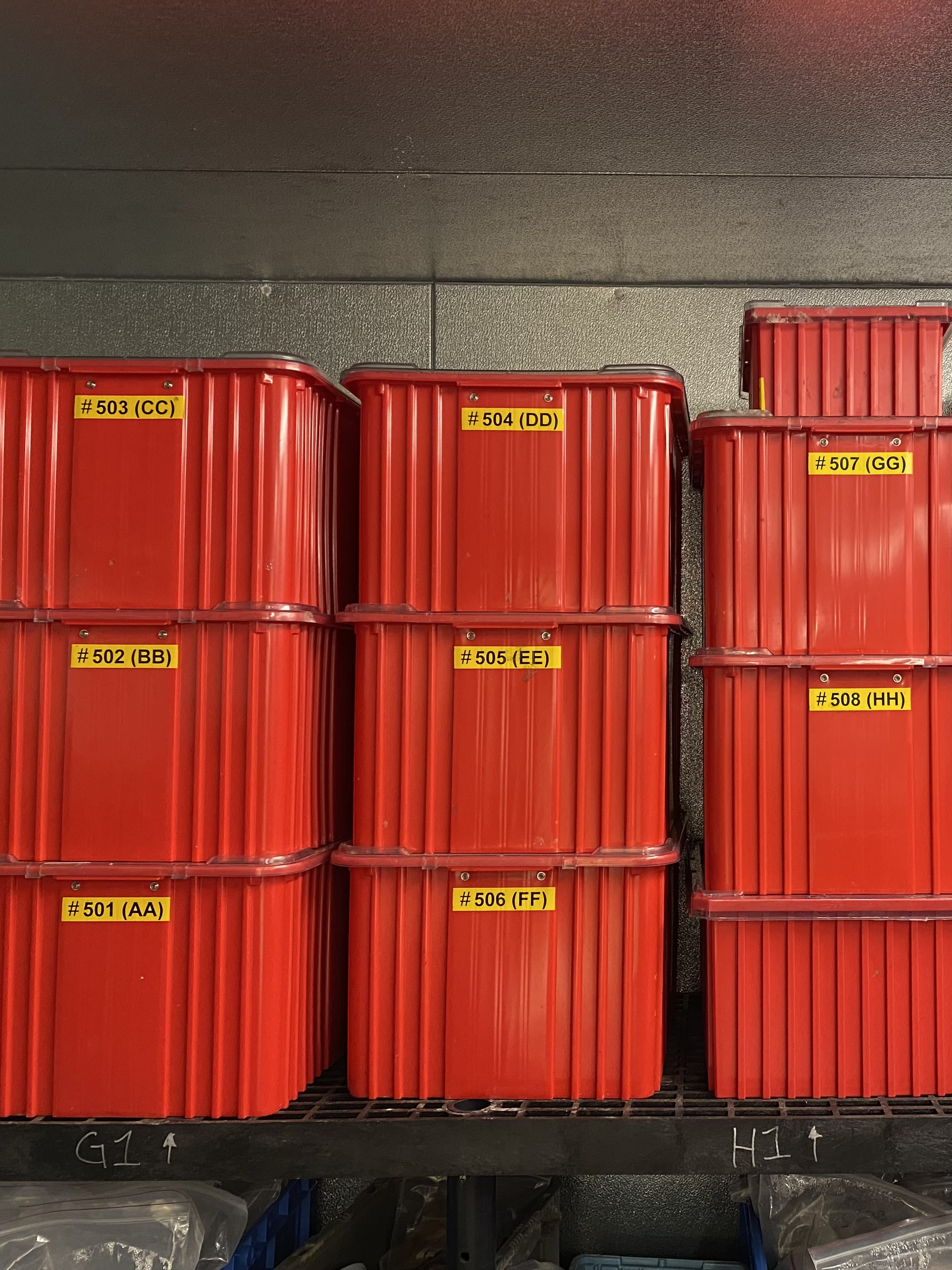 PCN Blog: An Interview with Kim Roche on Preparing for Hurricane Ian