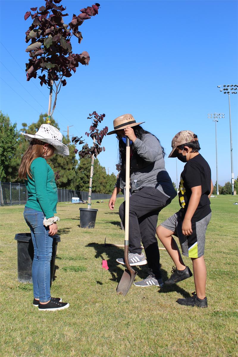 The Scorching Effect of Heat Islands