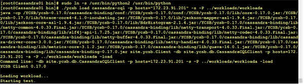 Configuring Cassandra with Hitachi Virtual Storage Software (VSS) Block