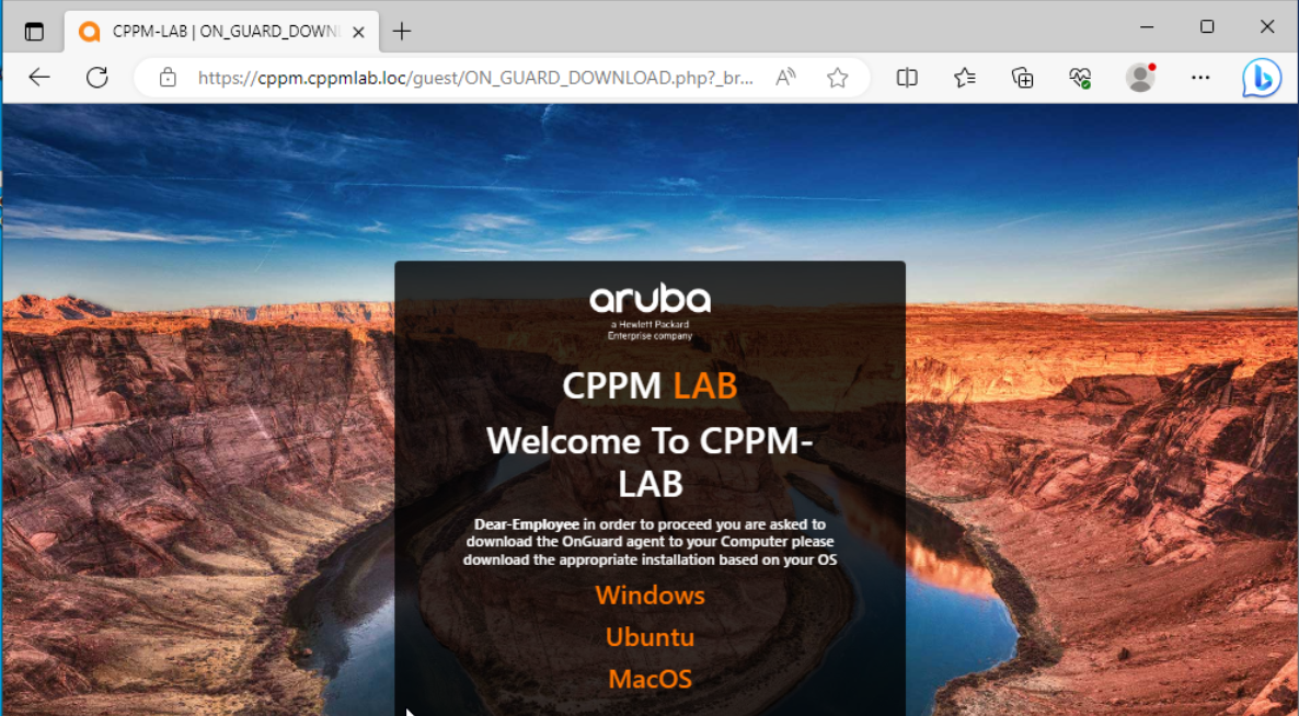 pushing web page from CPPM to aruba cx switch for wired users | Security